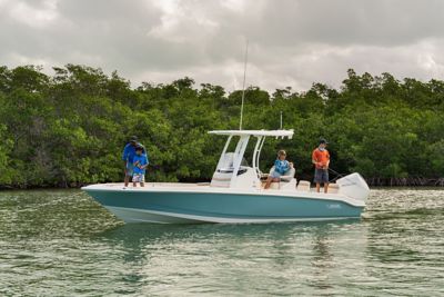 Boston whaler dauntless store